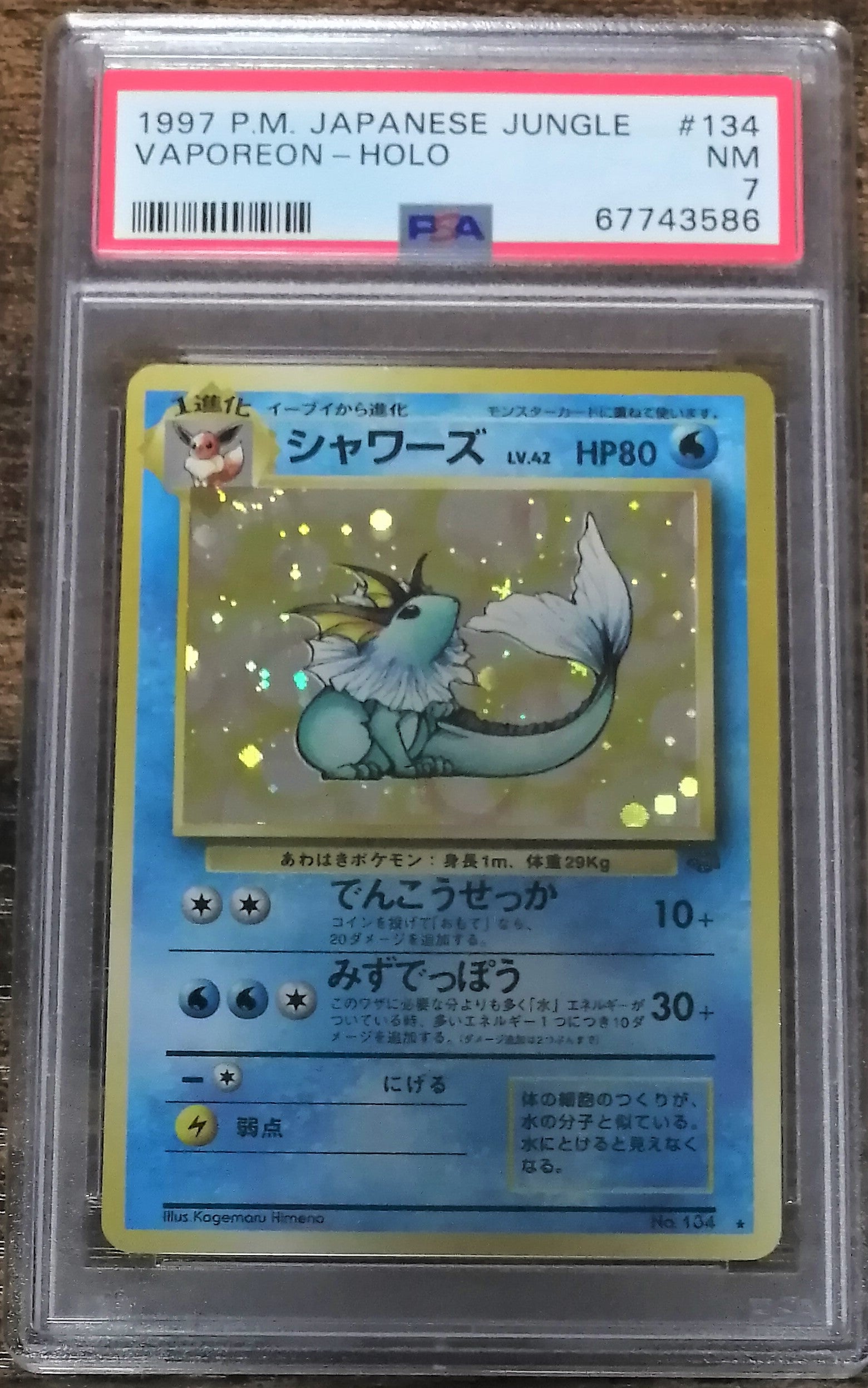 Carte Pokémon Jungle 134 PSA7 Aquali – JapanTCG